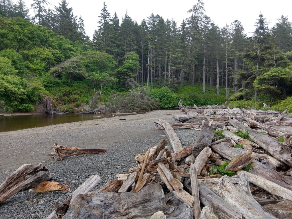 Day 30 - Ruby Beach - Vanlife Reality